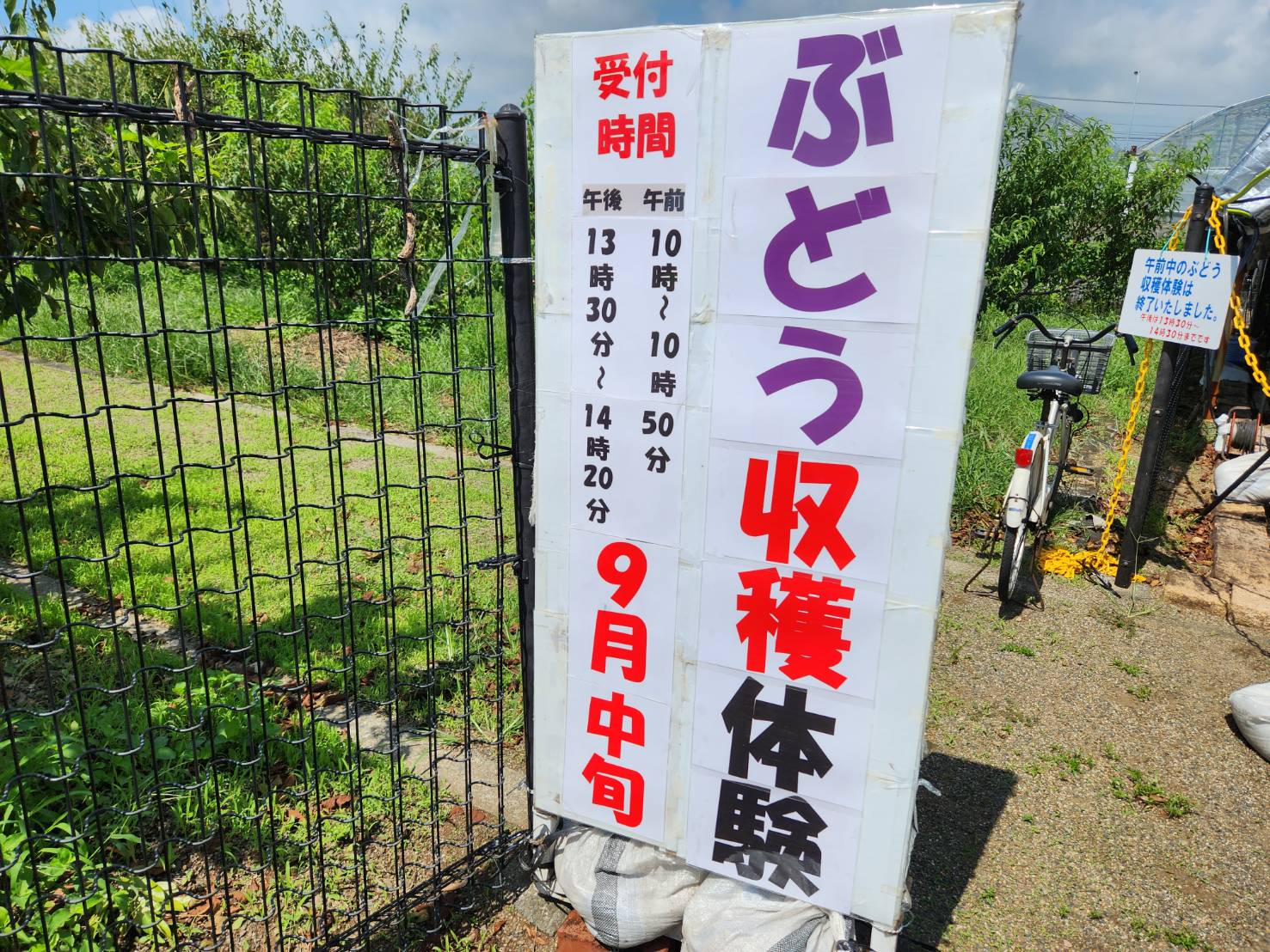 8/12 ぶどう狩り - 一般社団法人 STEP UP | CoCoRo グループ