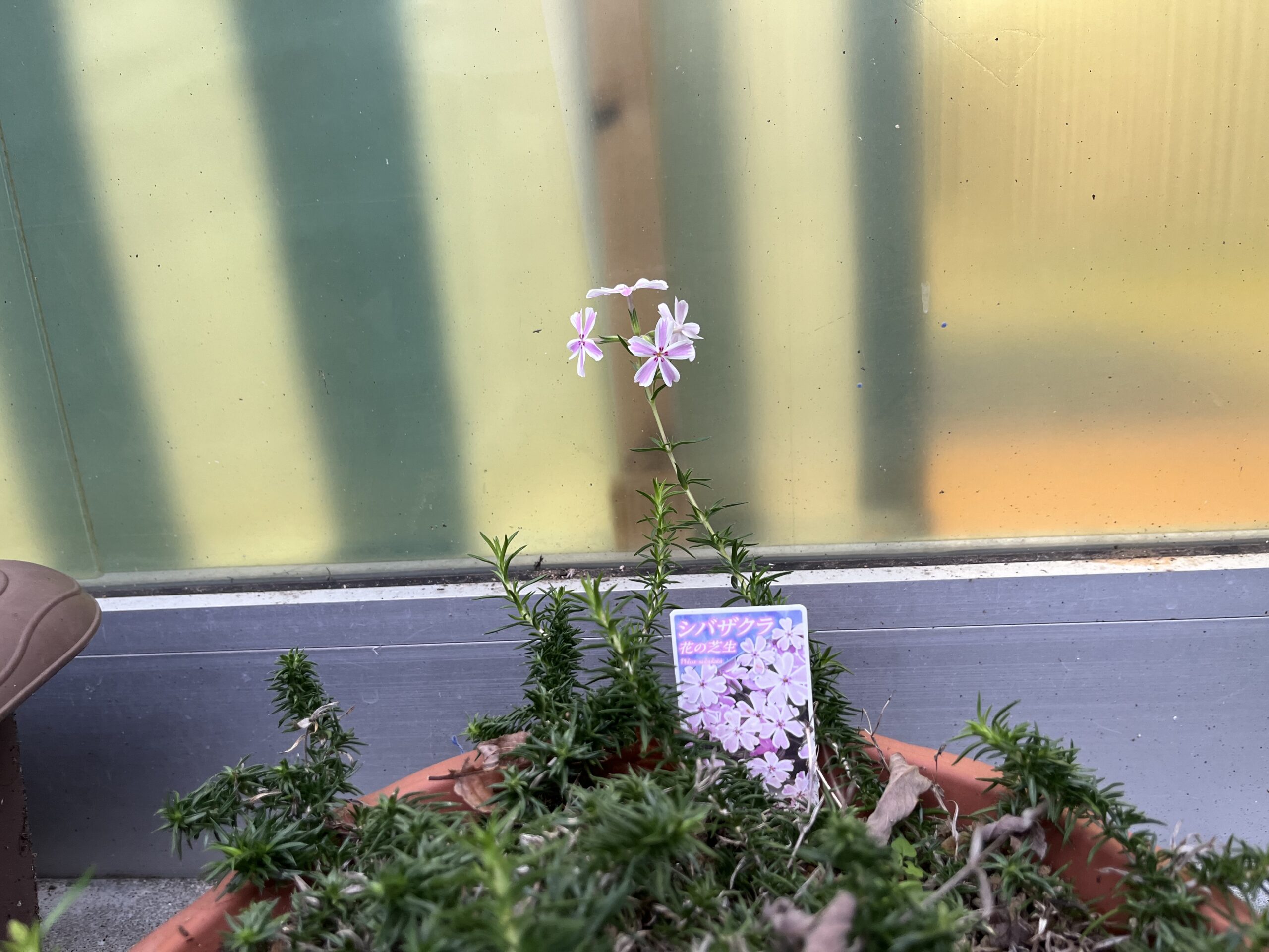 秋休み2日目🌰 - 一般社団法人 STEP UP | CoCoRo グループ